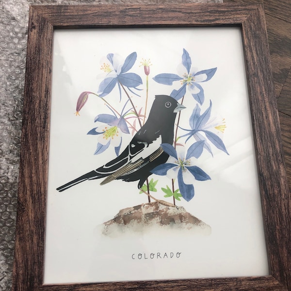 Colorado Lark Bunting Art Print | Columbine State Flower Watercolor - Etsy