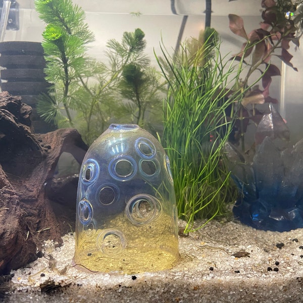 Swiss Dome Fish Tank Functional Art - Etsy