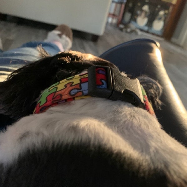 Autism Awareness Dog Collar - Etsy