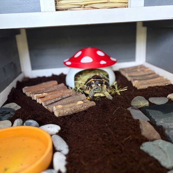 TORTOISE Mushroom Reptile Hide, Whimsical Vivarium Accessory for Pet ...