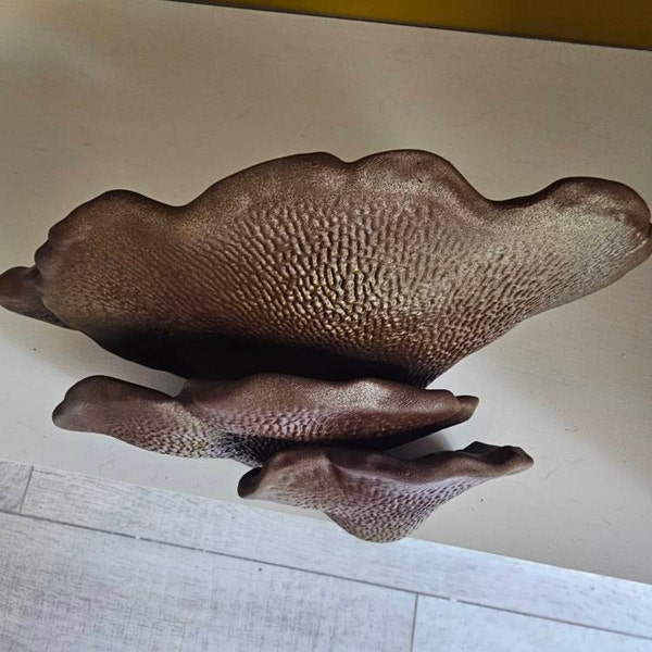 Snail Core Bowl, Unique 3D Printed Decor, Spiral Design, Artistic ...