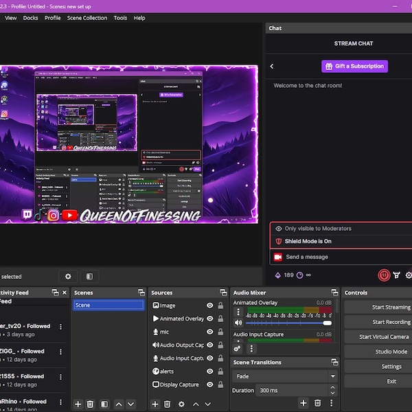 Custom Animated Name Overlay | OBS, Streamlabs, Twitch, Youtube, Tiktok - Etsy