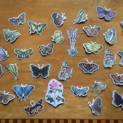 Sepia Flower Meanings & Poetry Die Cut Stickers - Etsy Australia