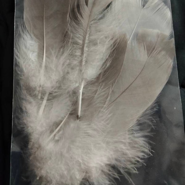 Miniature Feathers, a Bunch of Small Tiger Striped Feathers, Orange ...