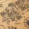 46 Tree Stamps for Procreate | Forest Brushes for Fantasy Maps ...