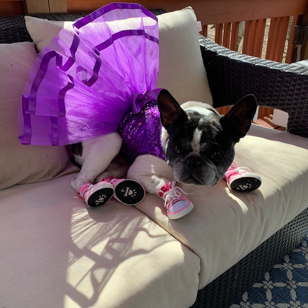 Dog Dress Turquoise Sequinned Tu Tu Party Dress for Small Breed Dogs ...
