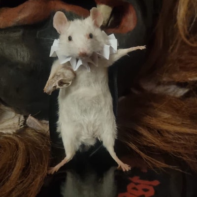 Taxidermy Rat Rope Player Taxidermy Anthropomorphic Curiosity Oditties - Etsy