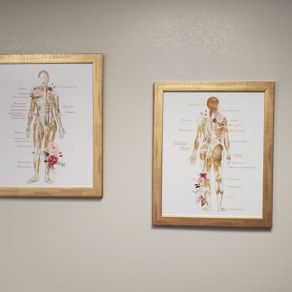 Womans Muscle System Art, Female Muscular System Print, Massage Therapy ...
