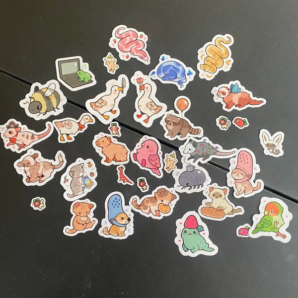 Croc King Sticker / Cat Sticker / Kitten Sticker / Cute Animal Sticker ...