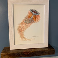 Jellyfish desmonema Annasethe by Haeckel OC-09 Fine Art Print of a ...