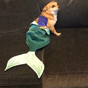 Little Mermaid Dog Costume Dog Little Mermaid Halloween - Etsy