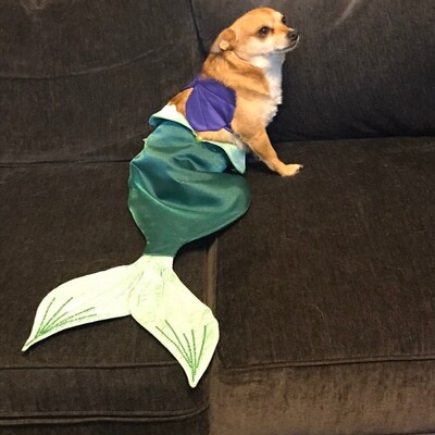 Little Mermaid Dog Costume, Dog Little Mermaid Halloween Costume ...
