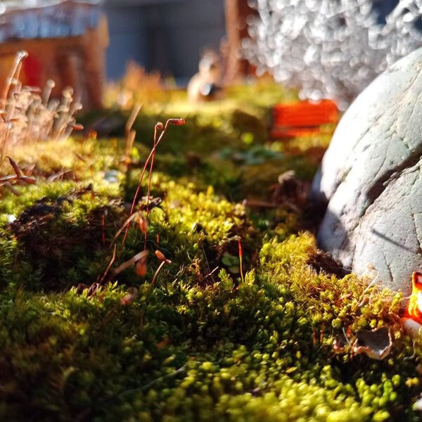 Micro Fox, Micro Red Fox, Miniature Fox, Miniature Clay Animal, Clay ...