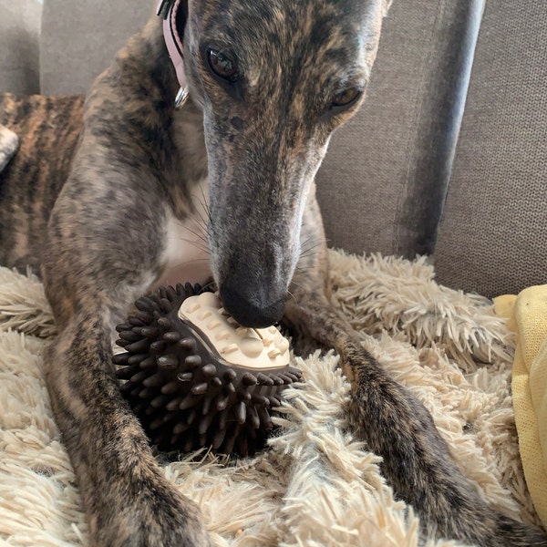 Interactive Dog Toy for Strong Chewers, Freddy Hedgehog All-in-one ...