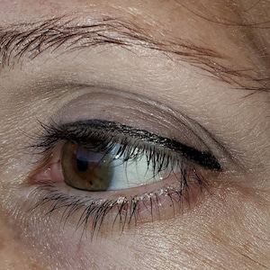 Redrum Bold Dark Blood Red Matte Eyeshadow Eyes Bold Looks | Etsy