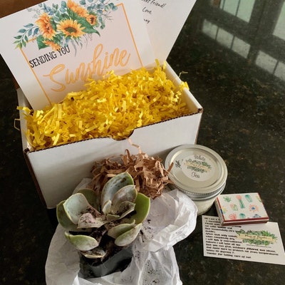 Box of Sunshine, Thank You, Thinking of You, Encouragement Gift, Cheer ...