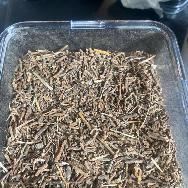 Acacia Flowers Tea - Wattle Flower - Tea- Natural - Organic| Herbal ...