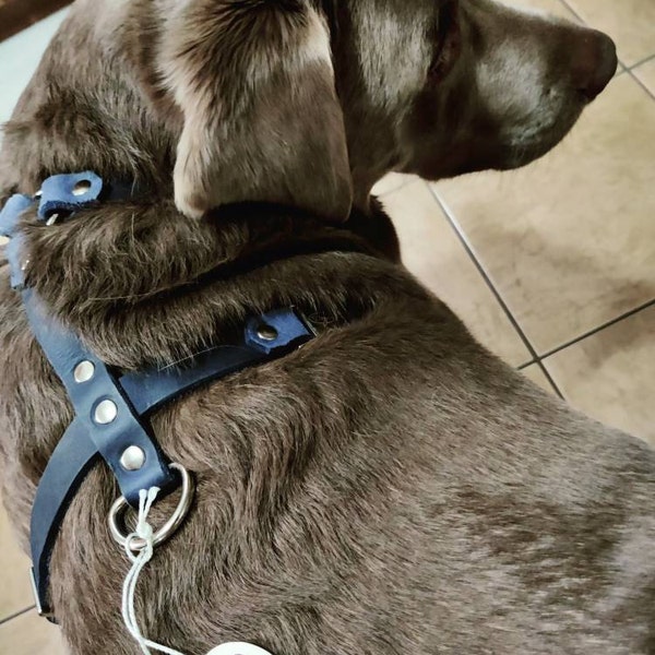 BIOTHANE DOG HARNESS, Large Breeds Training Harness, Biothane Beta ...