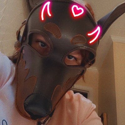 No Bite Cage for Human Pup Mask - Etsy