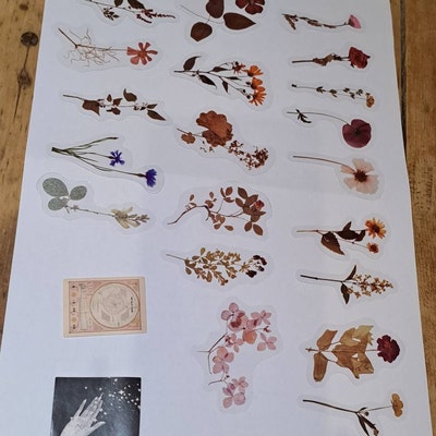 Dried Flowers Sticker Set, Pressed Wildflowers Stickers, Wild Flower ...