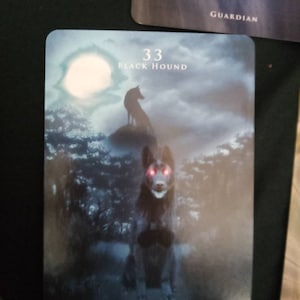 Bone Casting Set with Guide - Etsy