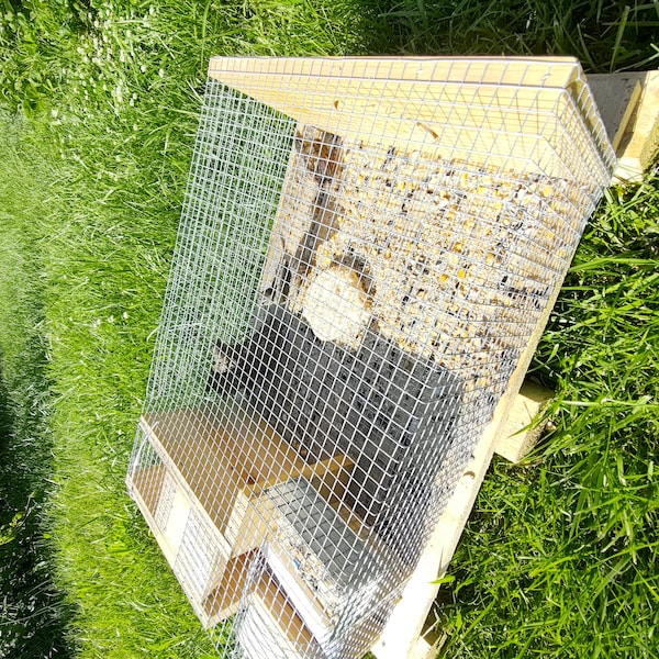 Original Deluxe Repeating Sparrow Trap (full Copyright Directions ...