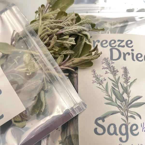 Freeze Dried Sage Leaves-organic Fresh Fragrant Herbs for Gourmet ...