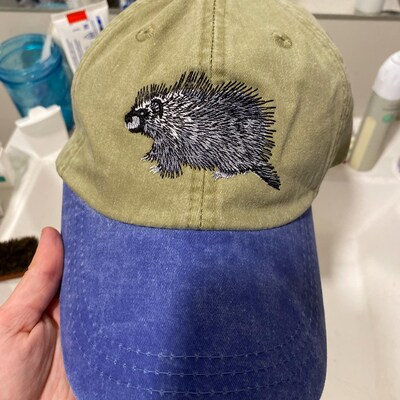 NORTHERN PIKE HAT One Embroidered Men Women Fish Wildlife Cap Price ...