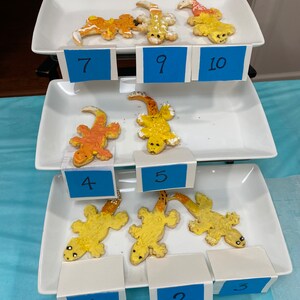 Lotus Flower Large Fondant Cookie Embosser Stamp Lotus - Etsy