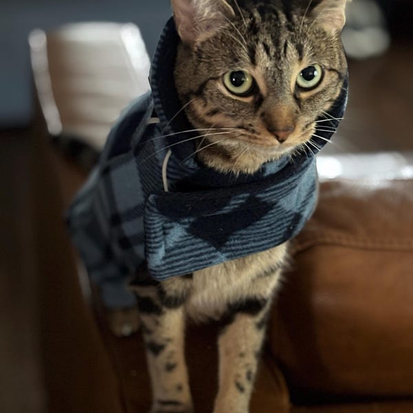 Plaid Fleece Cat Winter Jacket: Double Layer Polar Fleece - Etsy UK