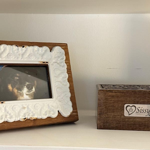 Personalized Funny Cat Metal Name Tag, Custom Laser Engraved Stainless ...