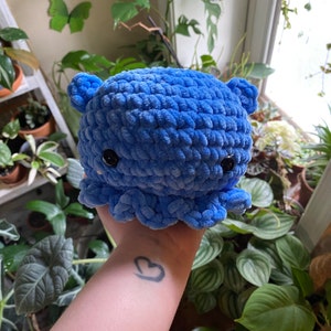 EASY Chonky Cuddle Fish Crochet Pattern, Beginner Friendly Crochet ...