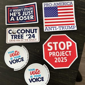 Ally Safety Pin Vinyl Sticker - Etsy