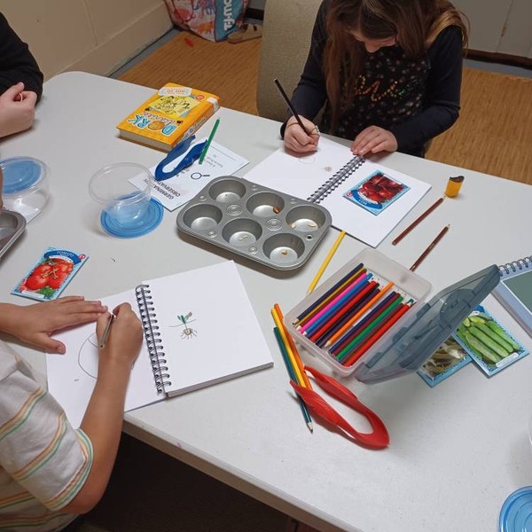 Conifers Unit - Elementary Science - Exploring the Amazing Features of ...