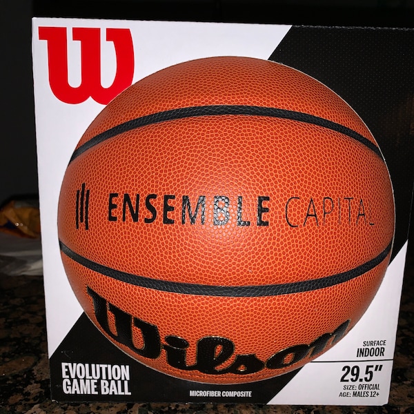 Customized Personalized Wilson Evolution Basketball Indoor Size 29.5 ...
