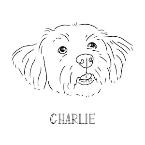 44 Dog Breed Line Drawing Clip Art and Stamps for Procreate - Etsy