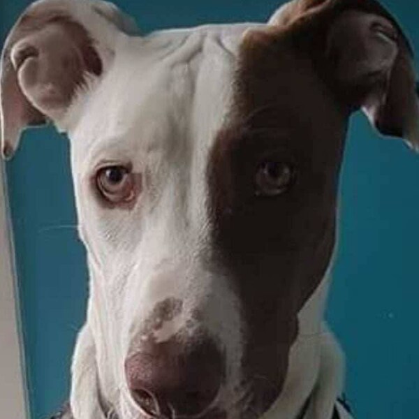 Soundwave Art With QR Code Song, 1st Anniversary Wedding Song Gift ...