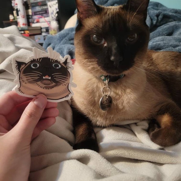 Merv the Cat Vinyl Sticker 2-pack / Mervthecat / Cat Sticker / Funny ...