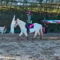 Equestrian Horse Riding Set With Horse Design Full Matchy Matchy - Can ...