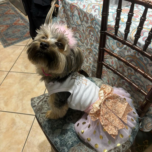 Terracotta Wedding Collar the Chauncy Rust and Burnt Orange Bridesmaid ...