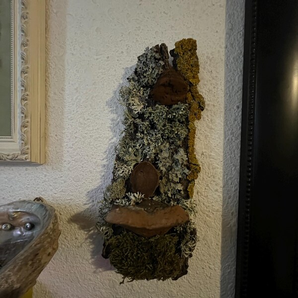 Floating Forest Art | Moss on Bark | Natural Wall Decor | Eco Friendly ...