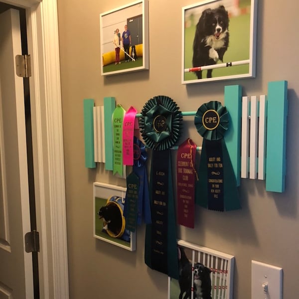 Miniature Jump Ribbon Display - Etsy