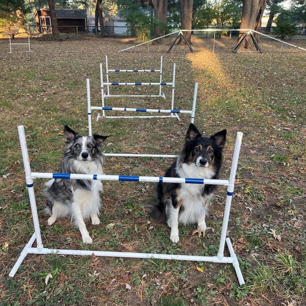Dog Agility Weave Pole Training Guide Wires * FREE SHIPPING - Etsy