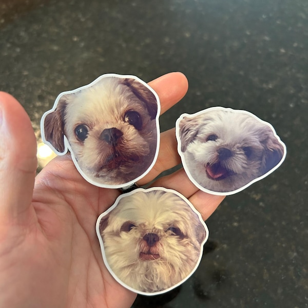 Custom Pet Magnets | Cute Animal Magnets | Decorative Magnets | Dog Cat ...