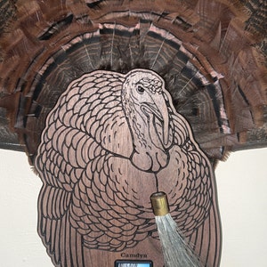 Personalized Double Wide Pheasant Tail Mount Plaque, Tail Feather ...