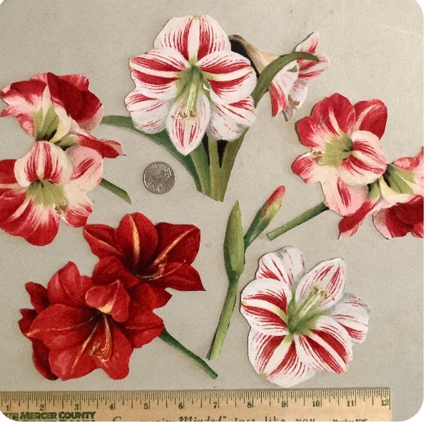 NEW Cowboy Boots Route 66 Fabric Appliques Iron Ons No Sew Western ...