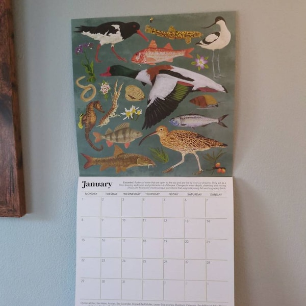 Recycled British Wildlife Habitats Calendar 2026 | Illustrated Daily ...
