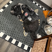 Savannah Area Rug|african Runner|afrocentric Non Slip Carpet|safari ...