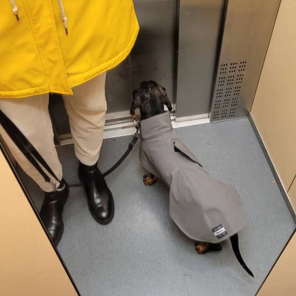 Dachshund Jacket - Waterproof Dachshund Coat - Raincoat - Dachshund ...