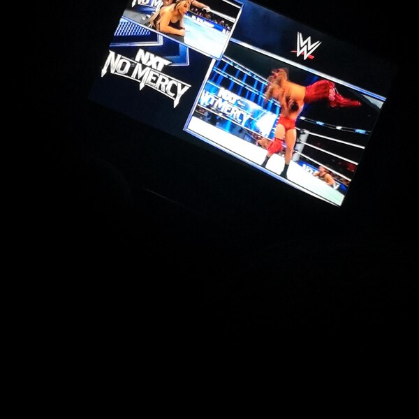 TJPW All Rise 2024 Pro Wrestling Dvd - Etsy